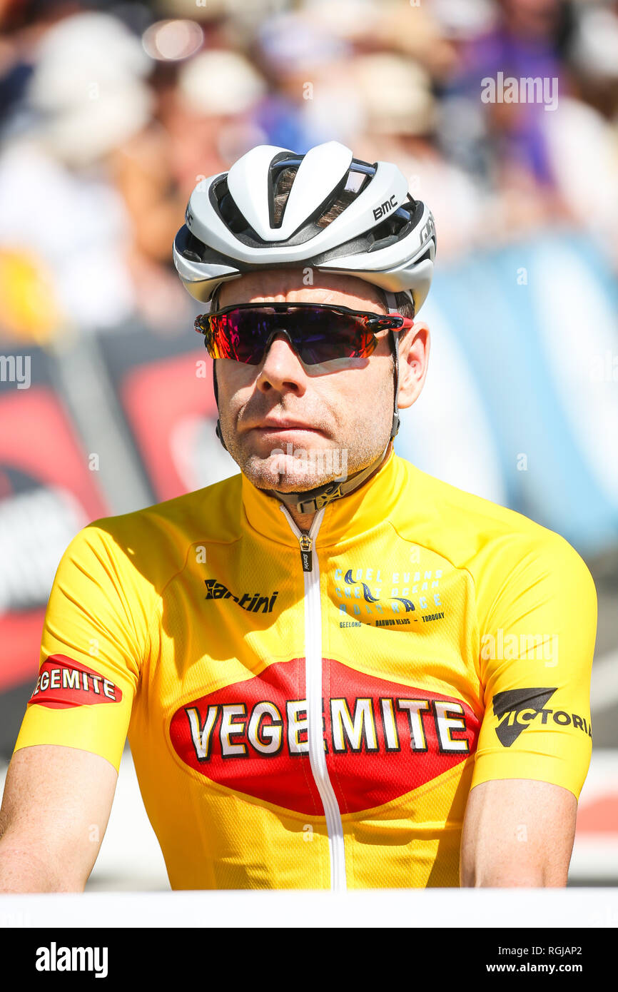 Cadel Evans Great Ocean Road Race - Elite Mens Stock Photo - Alamy