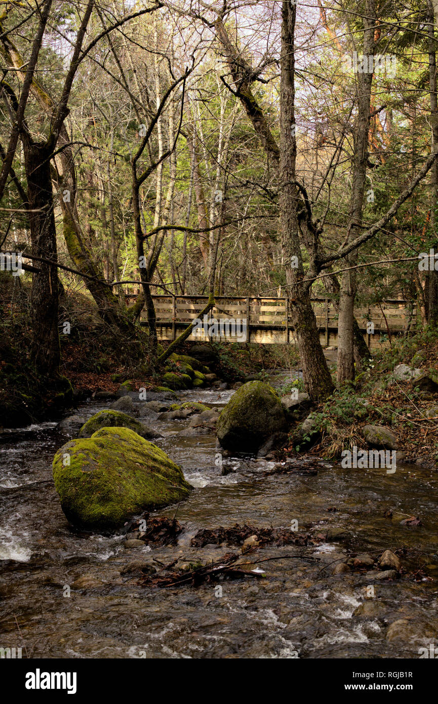 Bridge over creek in lithia hi-res stock photography and images - Alamy