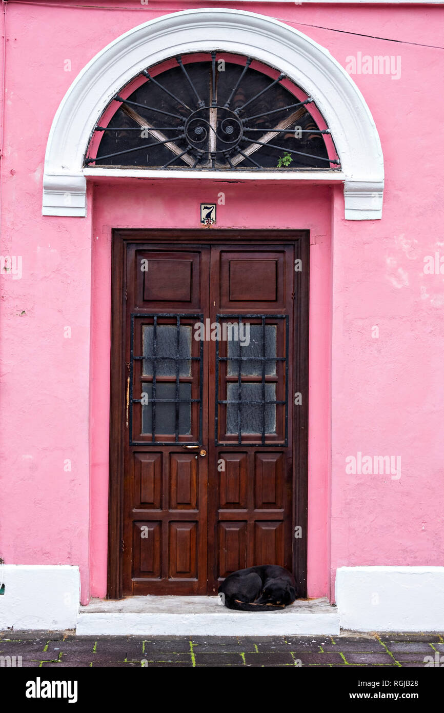 A dog sleeps in the doorway of a colorful colonnade style building in ...