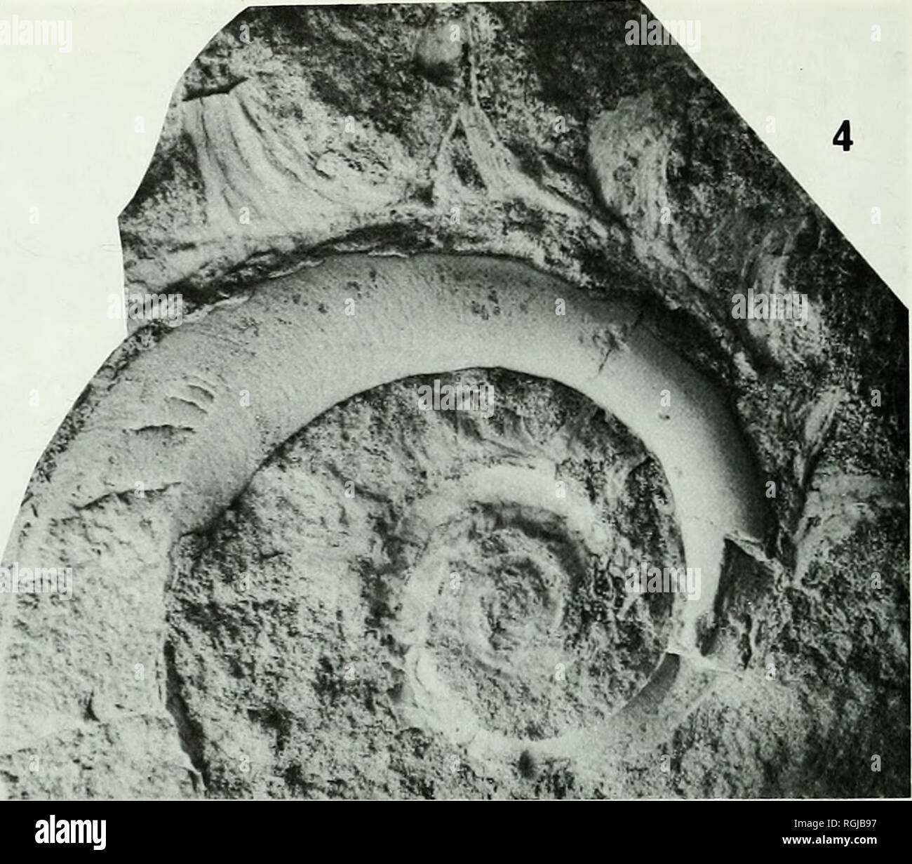 James tennant hi-res stock photography and images - Alamy