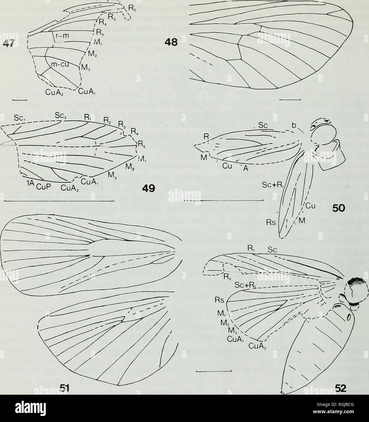 . Bulletin of the British Museum (Natural History), Geology. 264 E. A ...