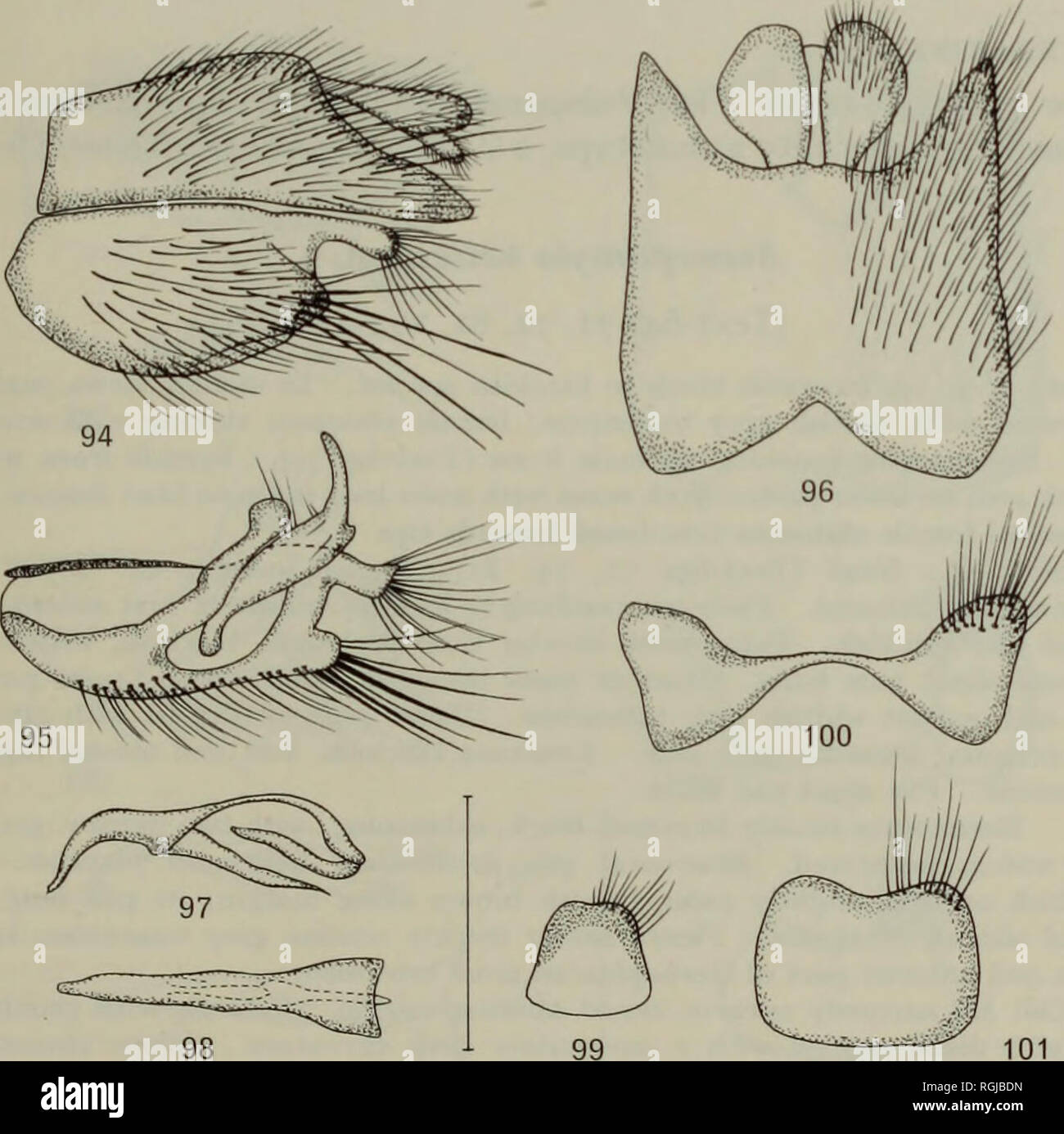 . Bulletin of the British Museum (Natural History) Entomology ...