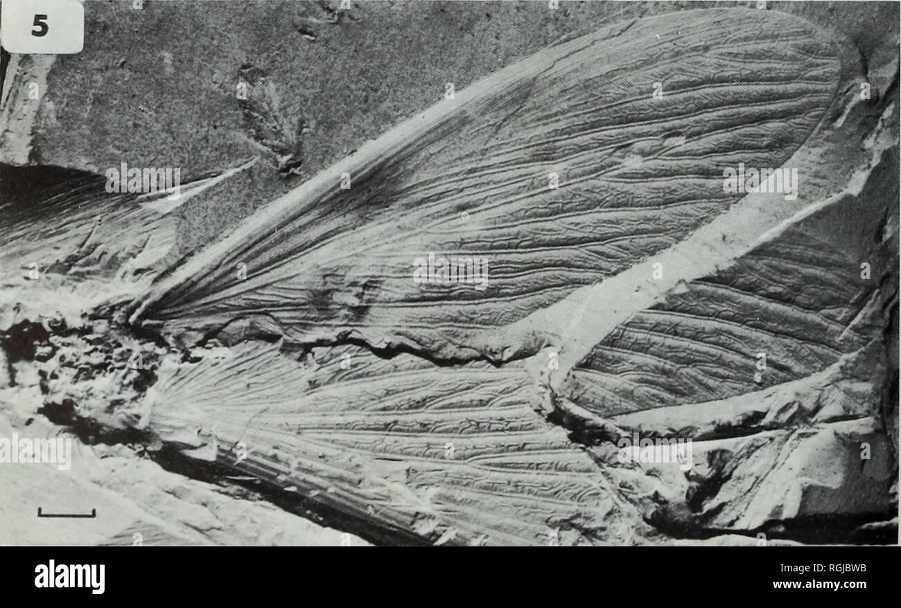 Nielsen family hi-res stock photography and images - Alamy