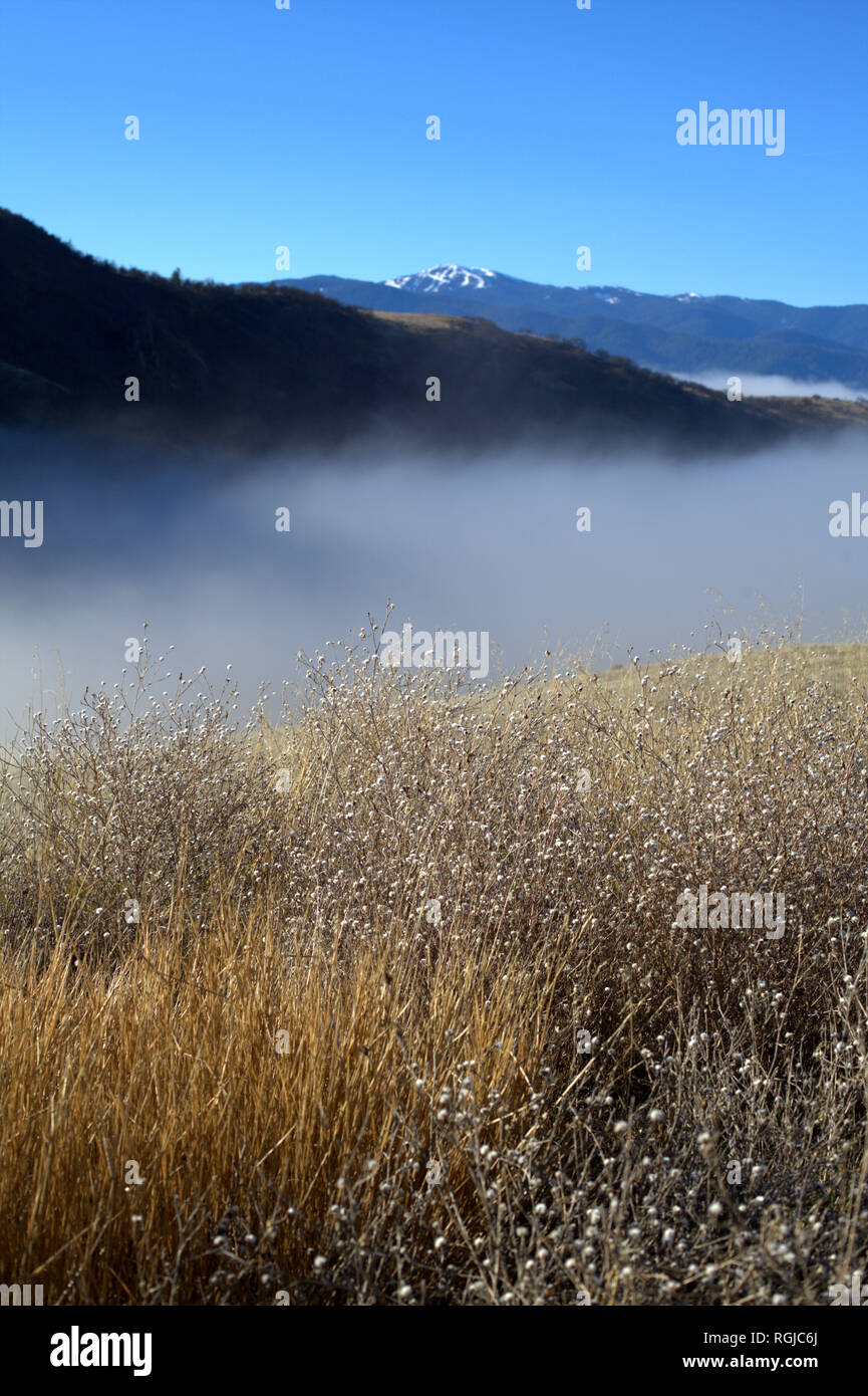 Mist misty green blue hi-res stock photography and images - Alamy