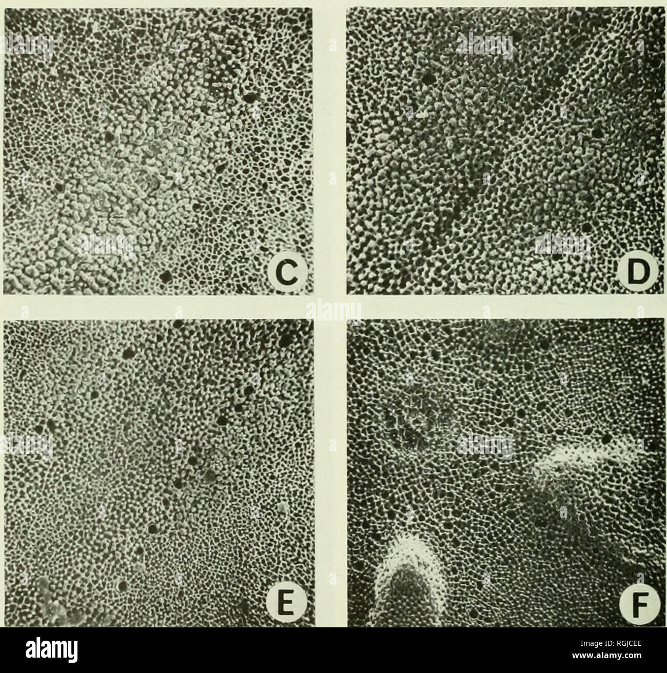 160 x 56 hi-res stock photography and images - Alamy