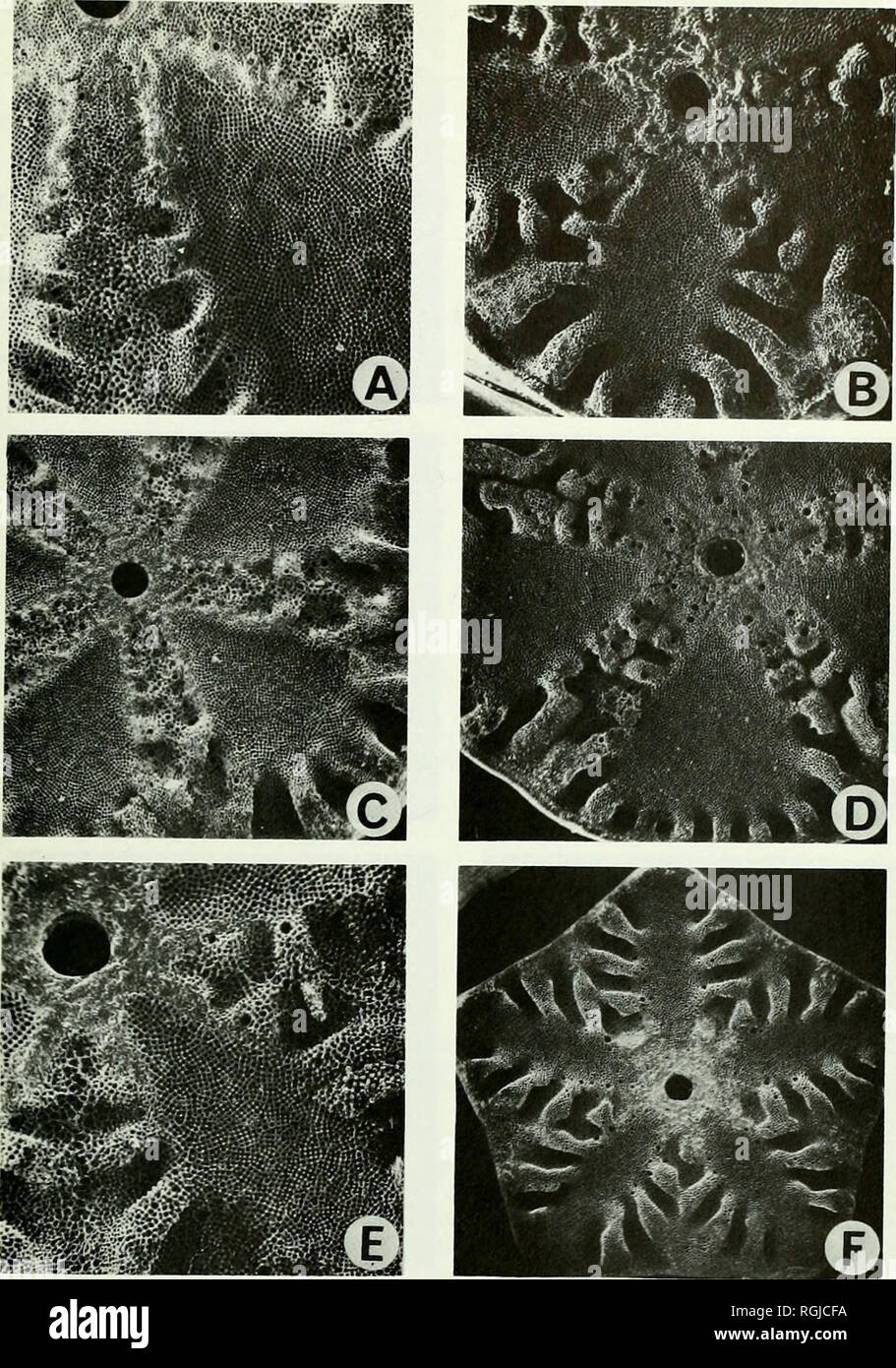 E 150 50 55 hi-res stock photography and images - Alamy