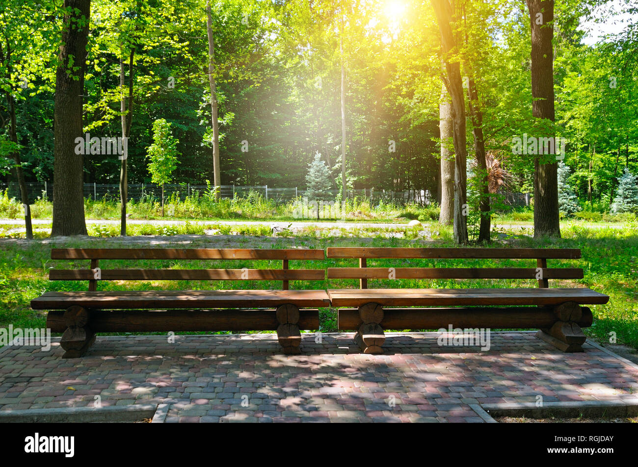 summer park, wooden benches and sunrise Stock Photo - Alamy