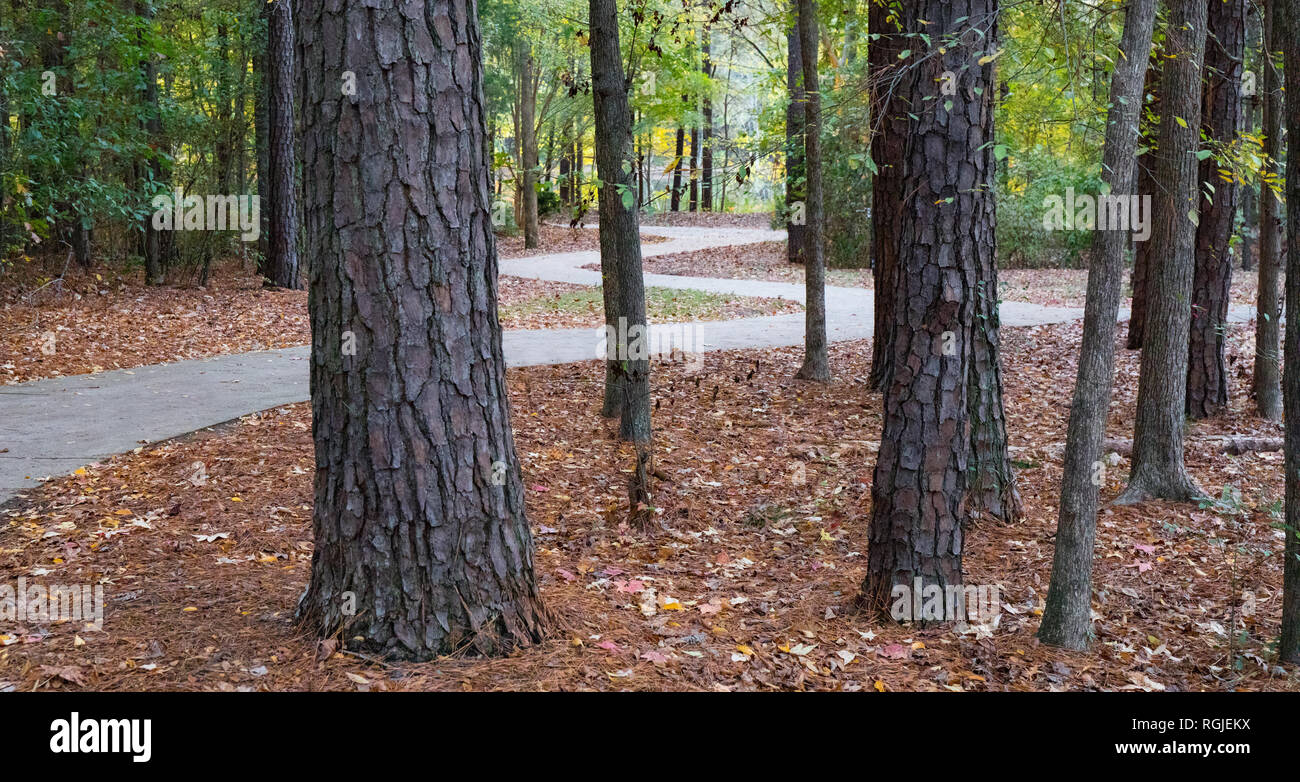 Pathway winding through woods hi-res stock photography and images - Alamy