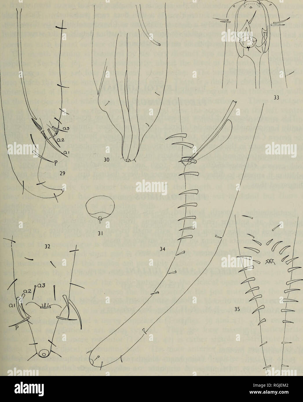. Bulletin of the British Museum (Natural History) Zoology. MARINE ...