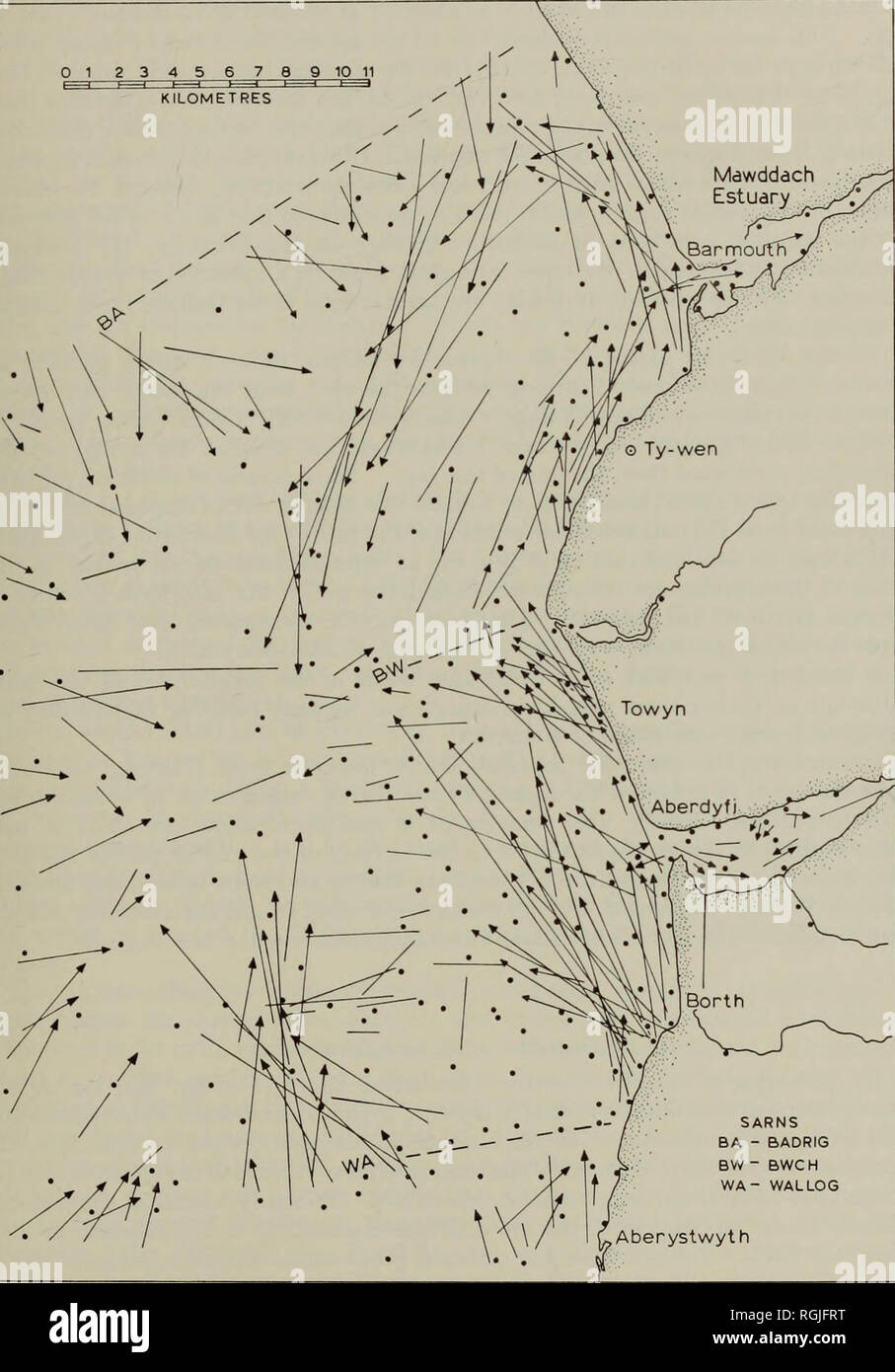 Dispersal vectors hi-res stock photography and images - Alamy