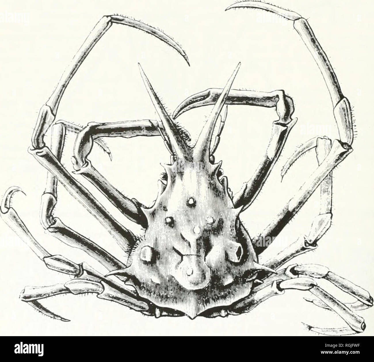 Wrote it in chalk hi-res stock photography and images - Alamy