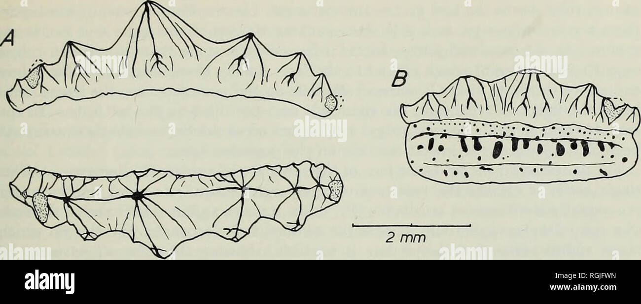 . Bulletin of the British Museum (Natural History), Geology. BRITISH ...