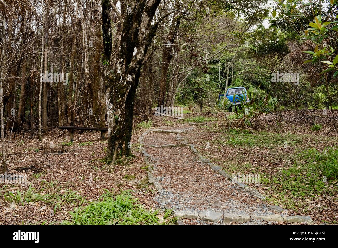 Scenes from Eungella National park and the surrounding area, Eungella ...