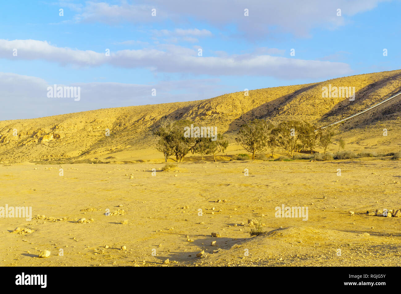 Desert landscape in Sde Boker, the Negev Desert, Southern Israel Stock Photo - Alamy