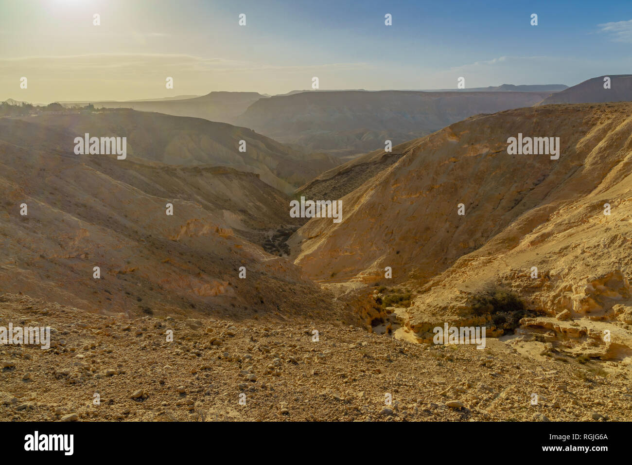 Landscape of Nahal Havarim, near Sde Boker, the Negev Desert, Southern Israel Stock Photo - Alamy