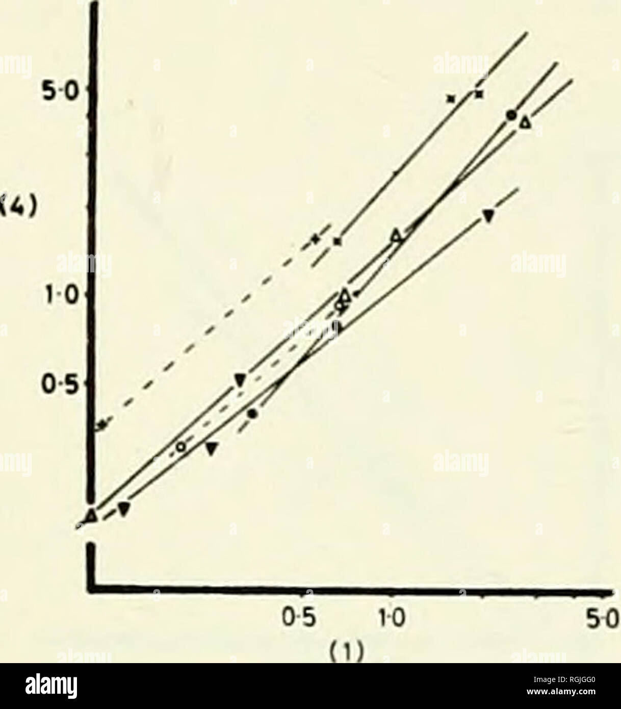 Cephalopod beak hi-res stock photography and images - Alamy
