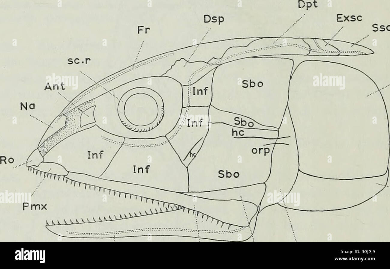 . Bulletin of the British Museum (Natural History), Geology. 284 ...