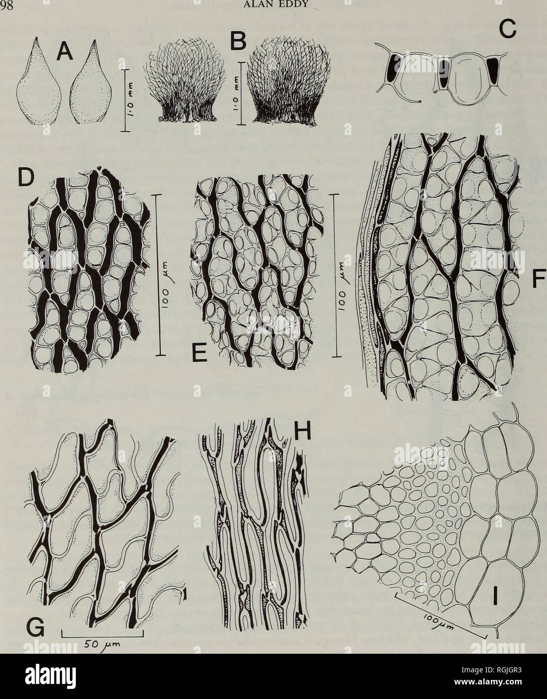 . Bulletin of the British Museum (Natural History) Botany. ALAN EDDY ...