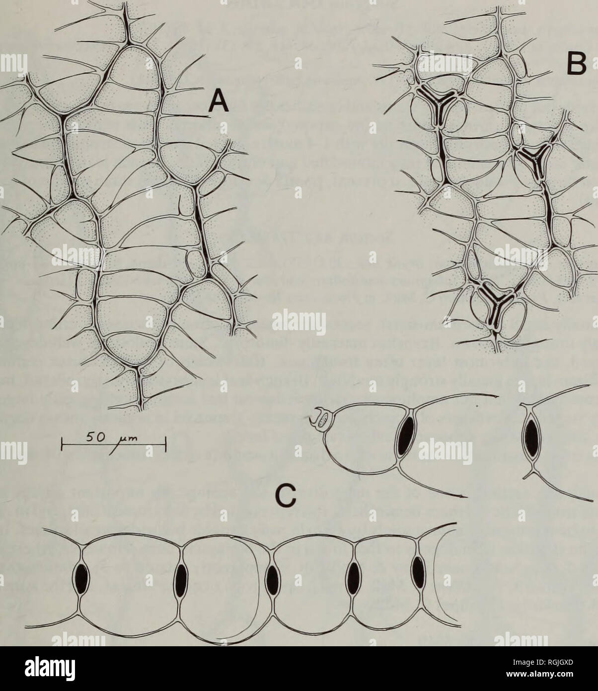 Isotypes hi-res stock photography and images - Alamy
