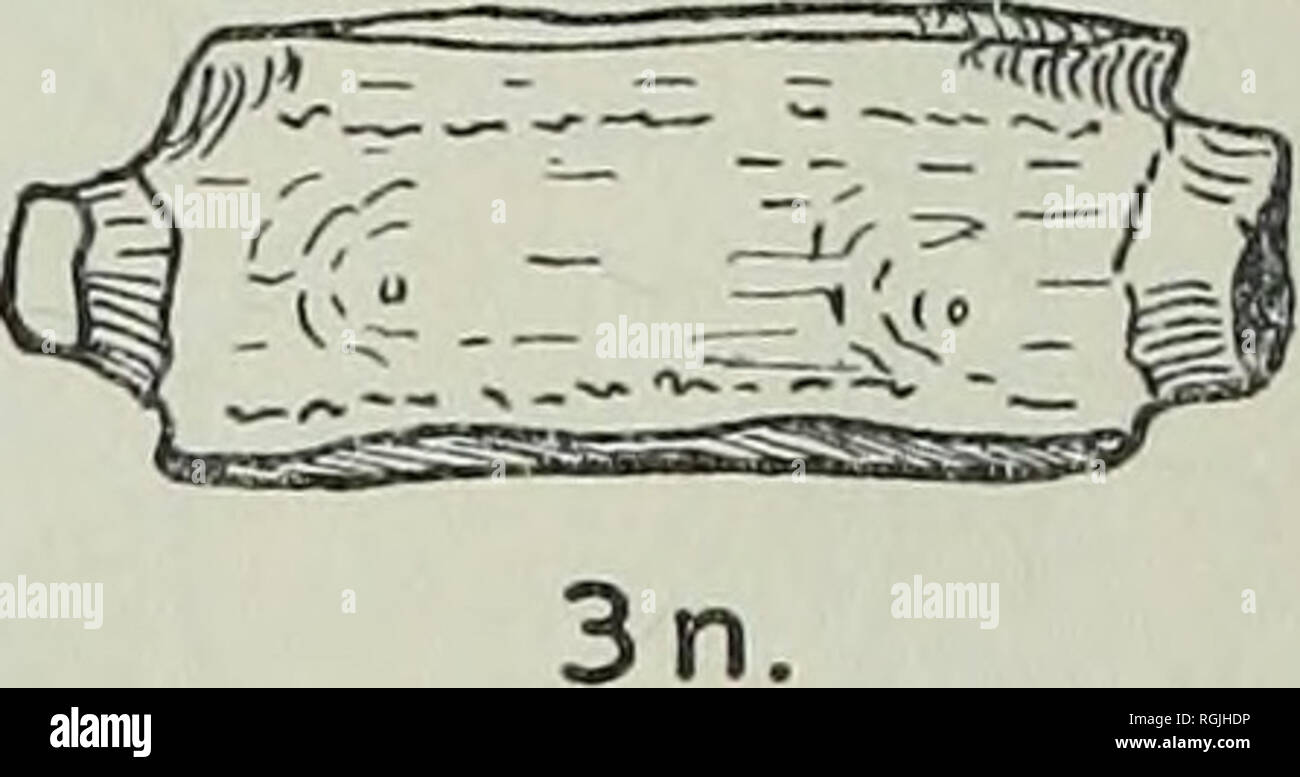 Simolestes vorax hi-res stock photography and images - Alamy