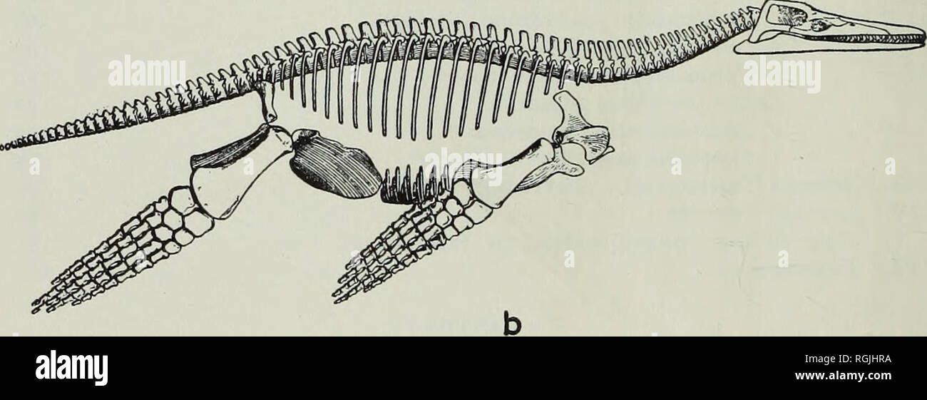 . Bulletin of the British Museum (Natural History), Geology. . Fig. i ...