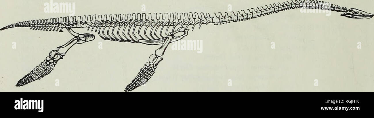 . Bulletin of the British Museum (Natural History), Geology. i48 A ...
