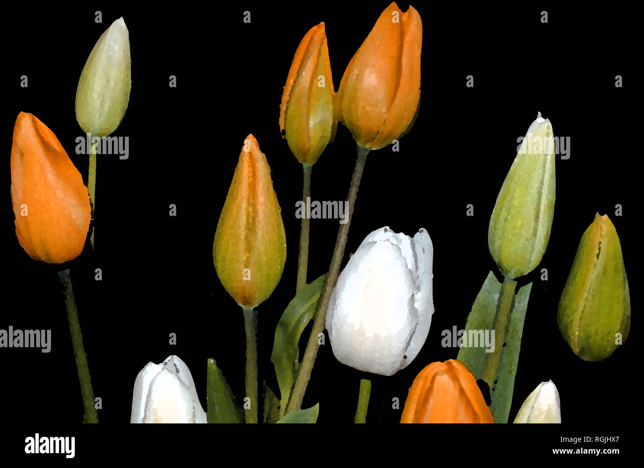 Graphic processing hi-res stock photography and images - Alamy