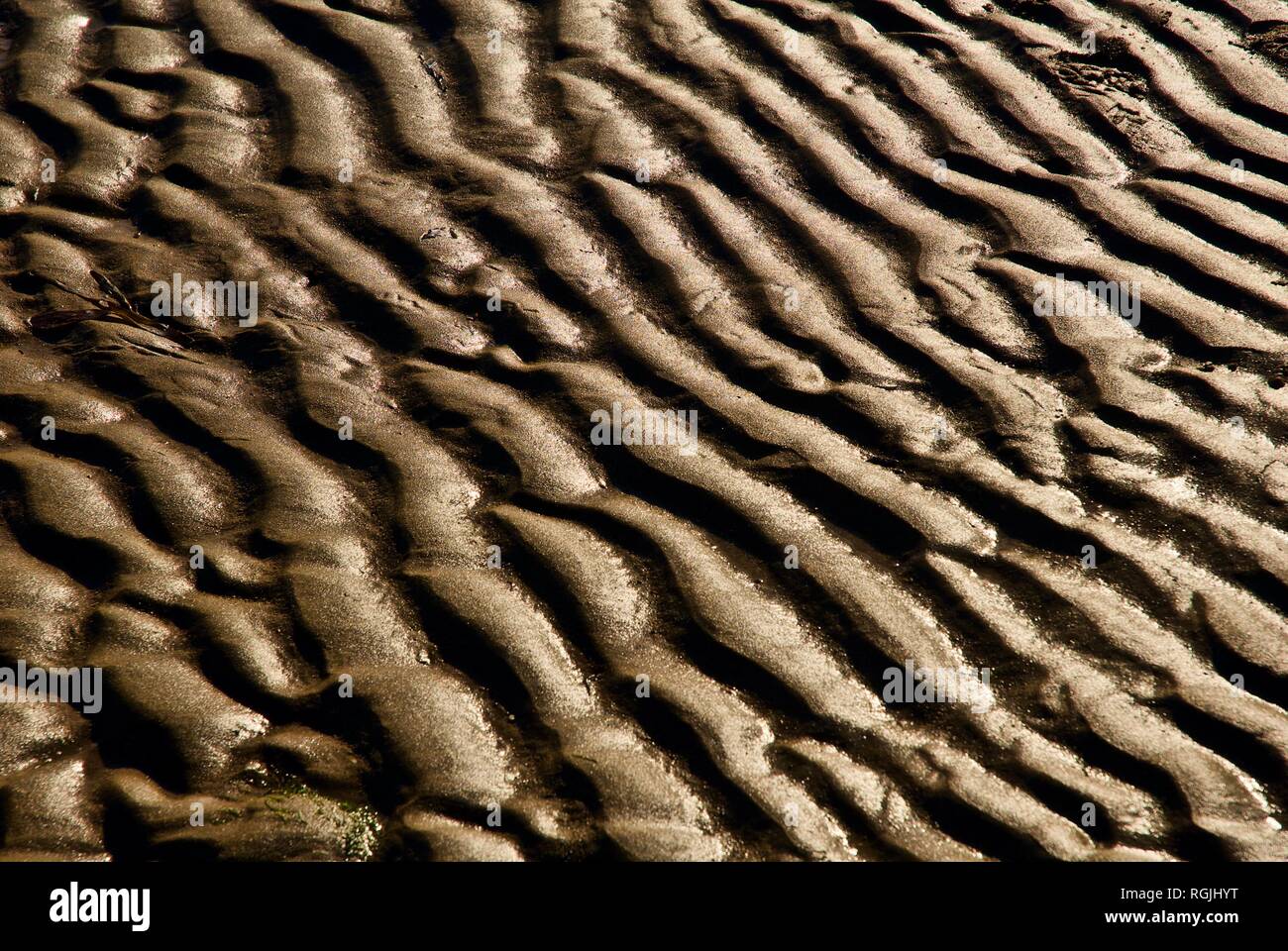 Sand patterns form strong shadows in low sunshine on a Welsh beach ...