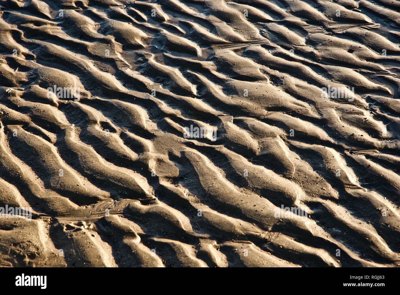 Sand patterns form strong shadows in low sunshine on a Welsh beach ...