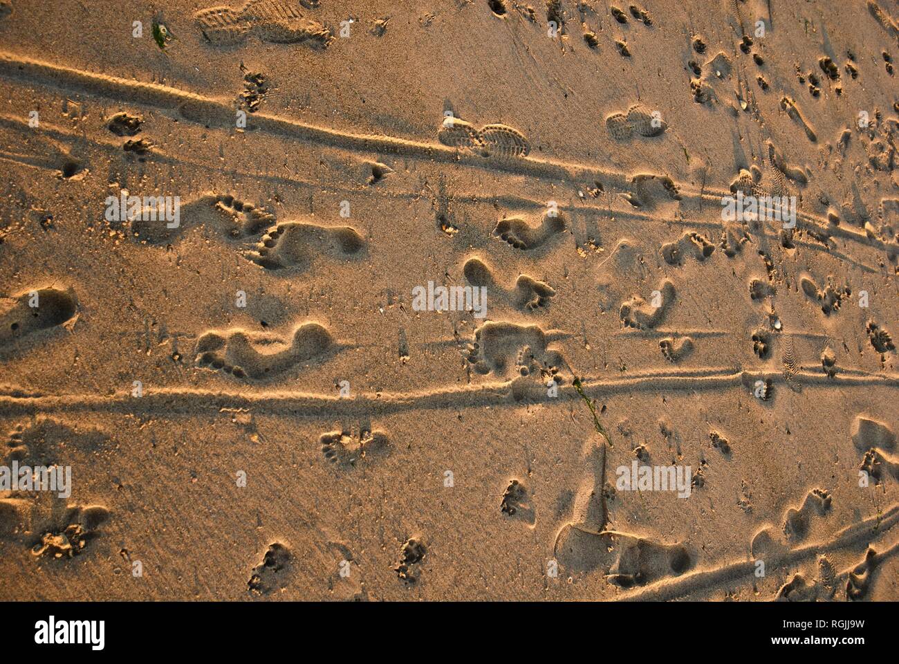Human foot hi-res stock photography and images - Alamy