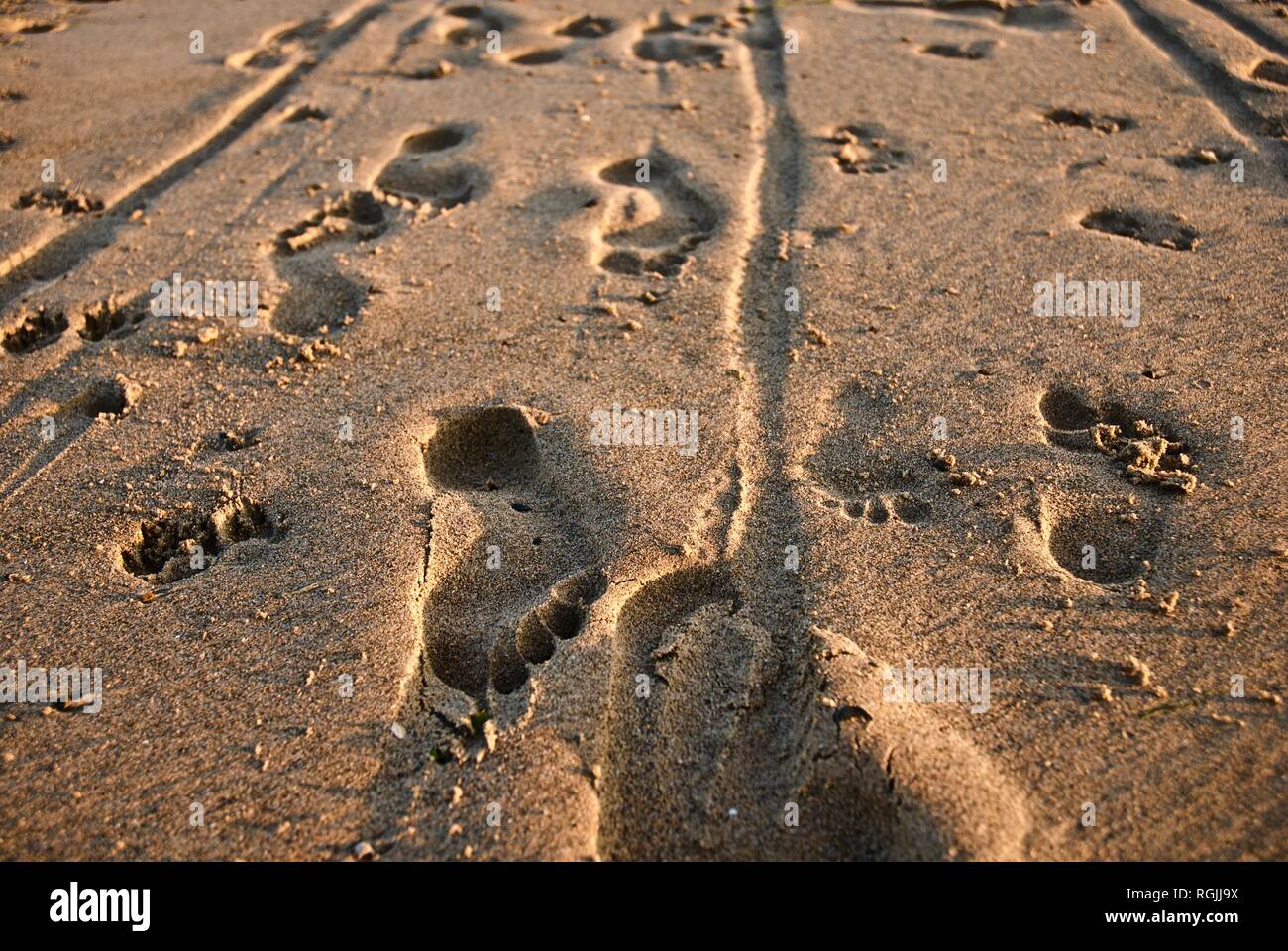 Human foot hi-res stock photography and images - Alamy