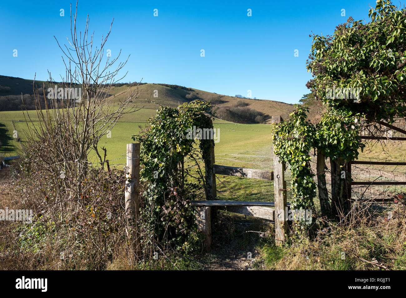 Countryside around Folkington in East Sussex Stock Photo - Alamy