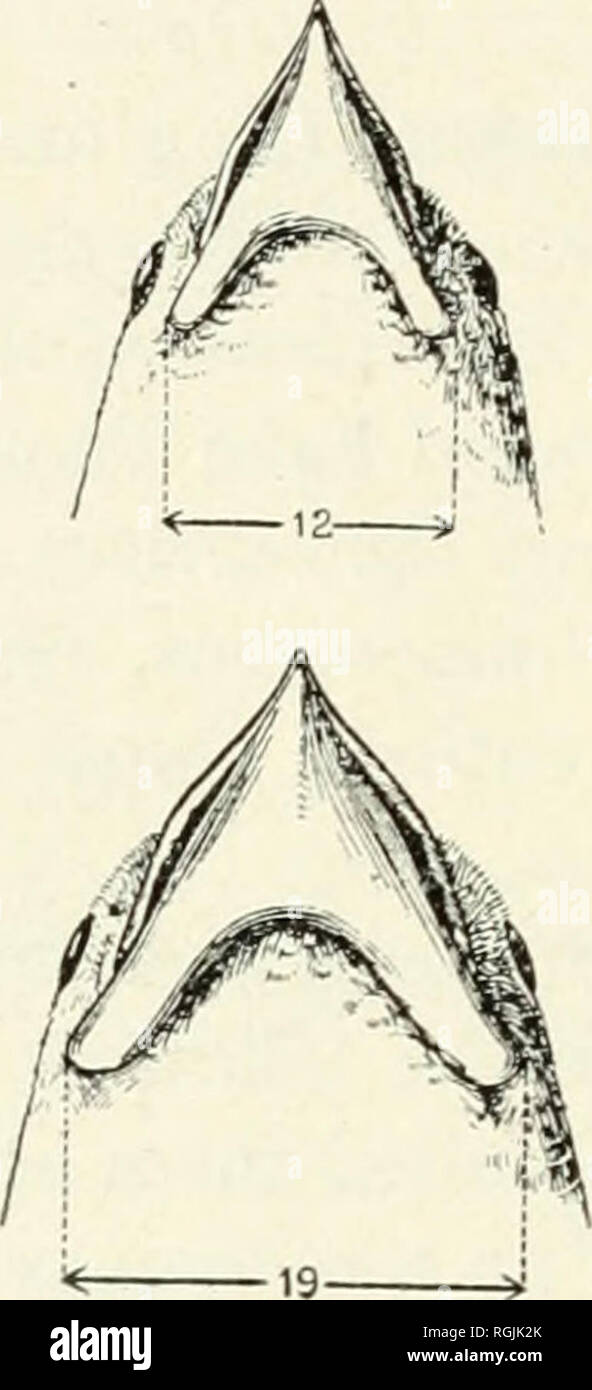 Lado enclave hi-res stock photography and images - Alamy