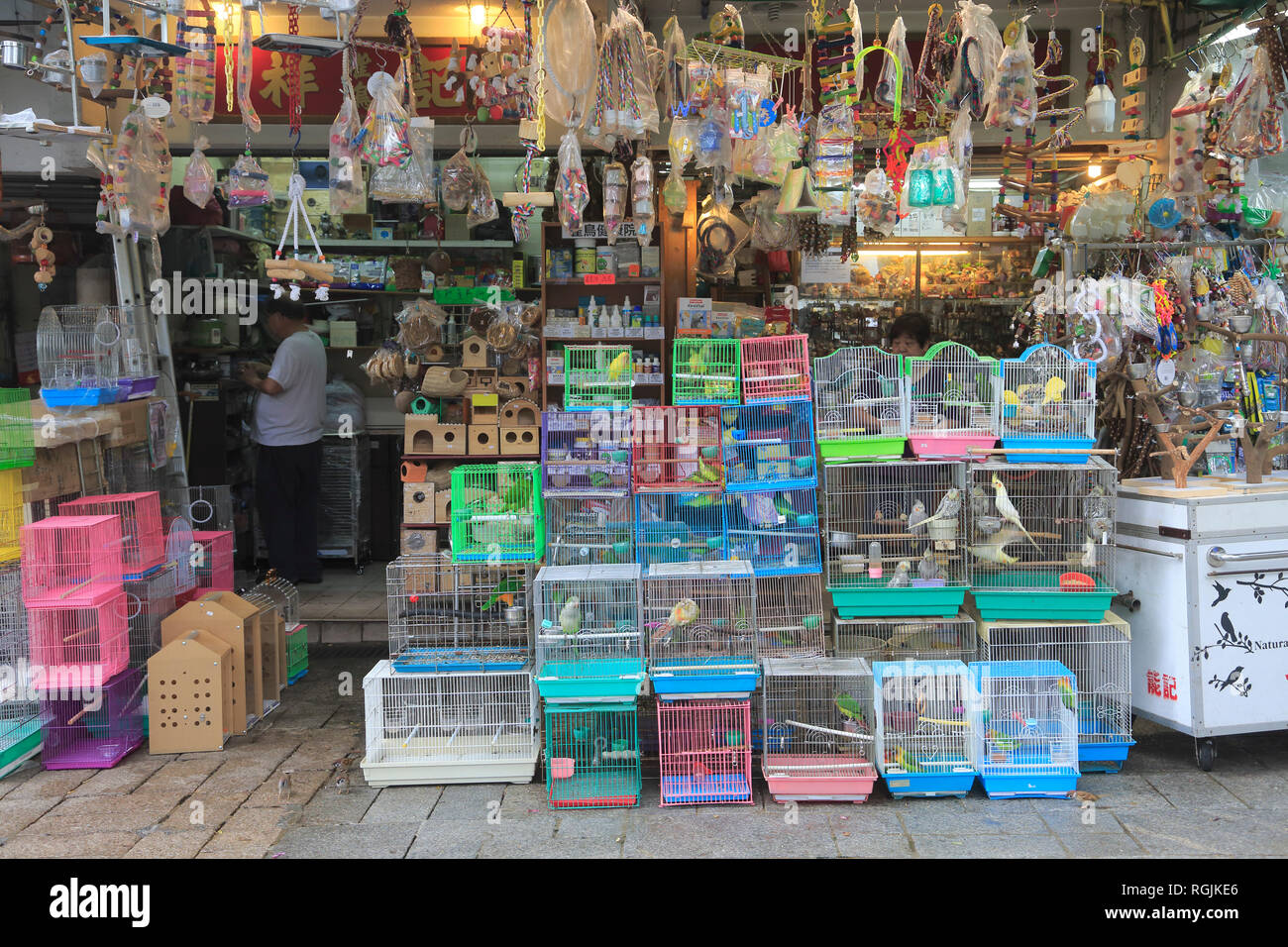 Birds for Sale, Yuen Po Street Bird Market and Garden, Mong Kok or ...