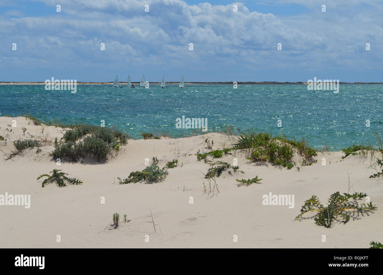 Armona island beach, part of the Ria Formosa Natural Park in the ...