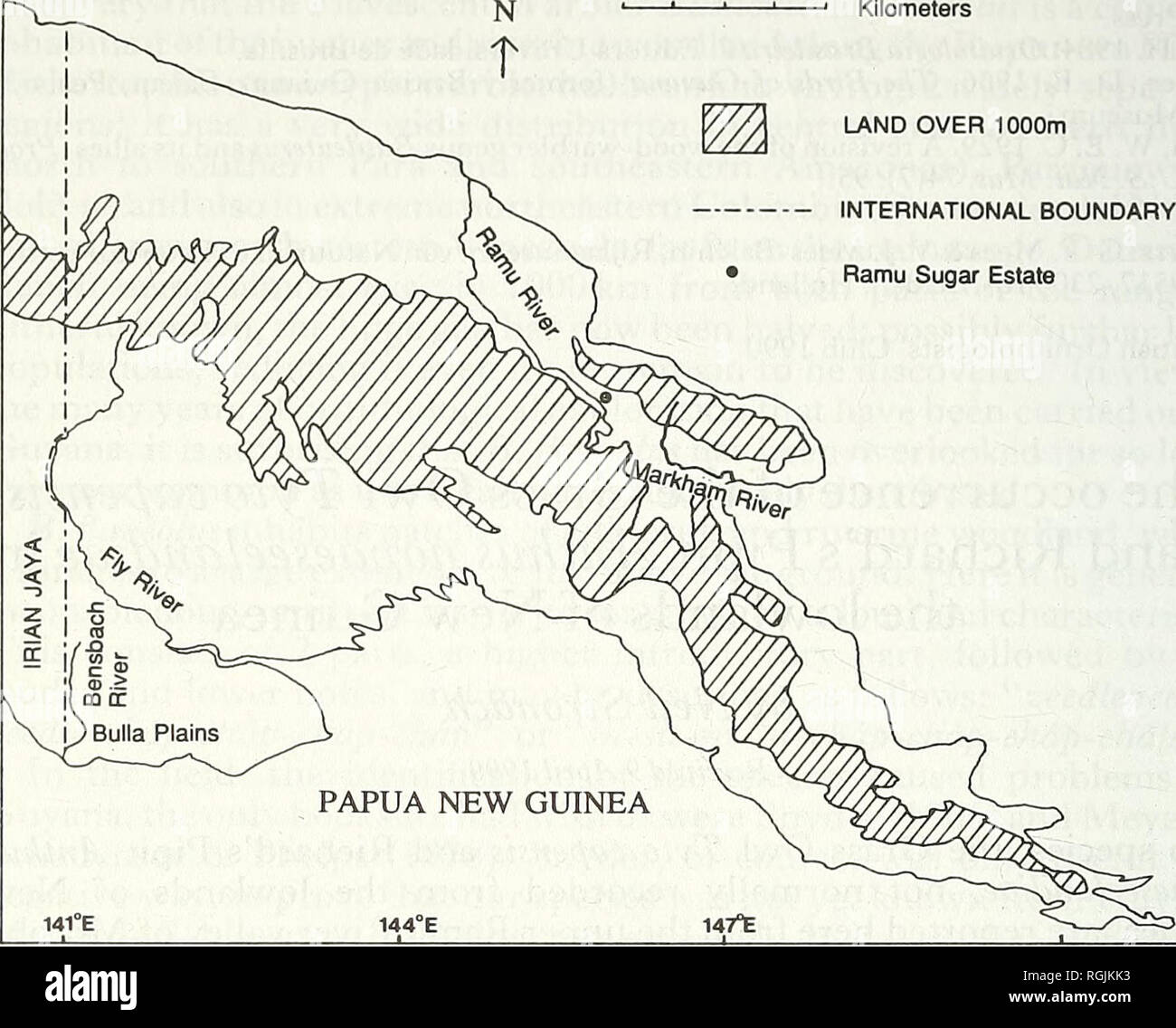 Imperata cylindrica new guinea hi-res stock photography and images - Alamy