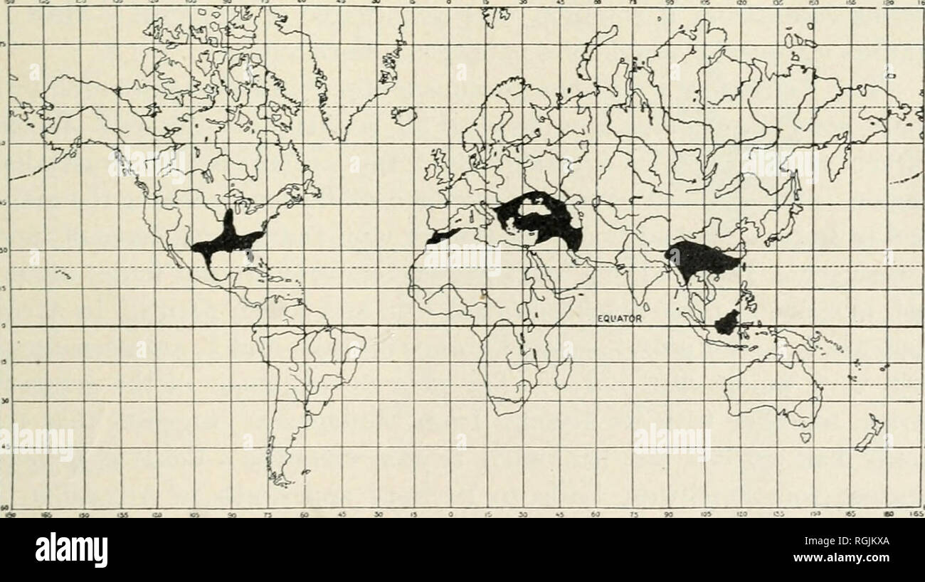 Varanidae genus hi-res stock photography and images - Alamy