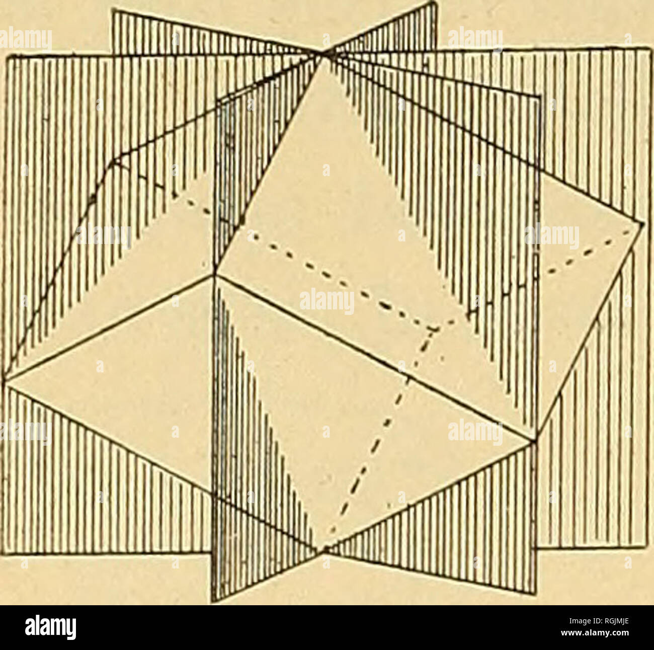 . Bulletin - New York State Museum. Science. 28 NEW YORK STATE MUSEUM ...