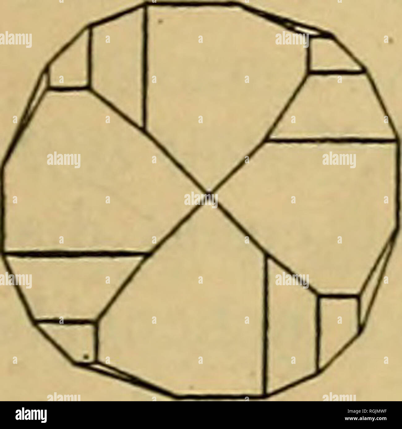 . Bulletin - New York State Museum. Science. Fig. 81 Pyramidal group ...