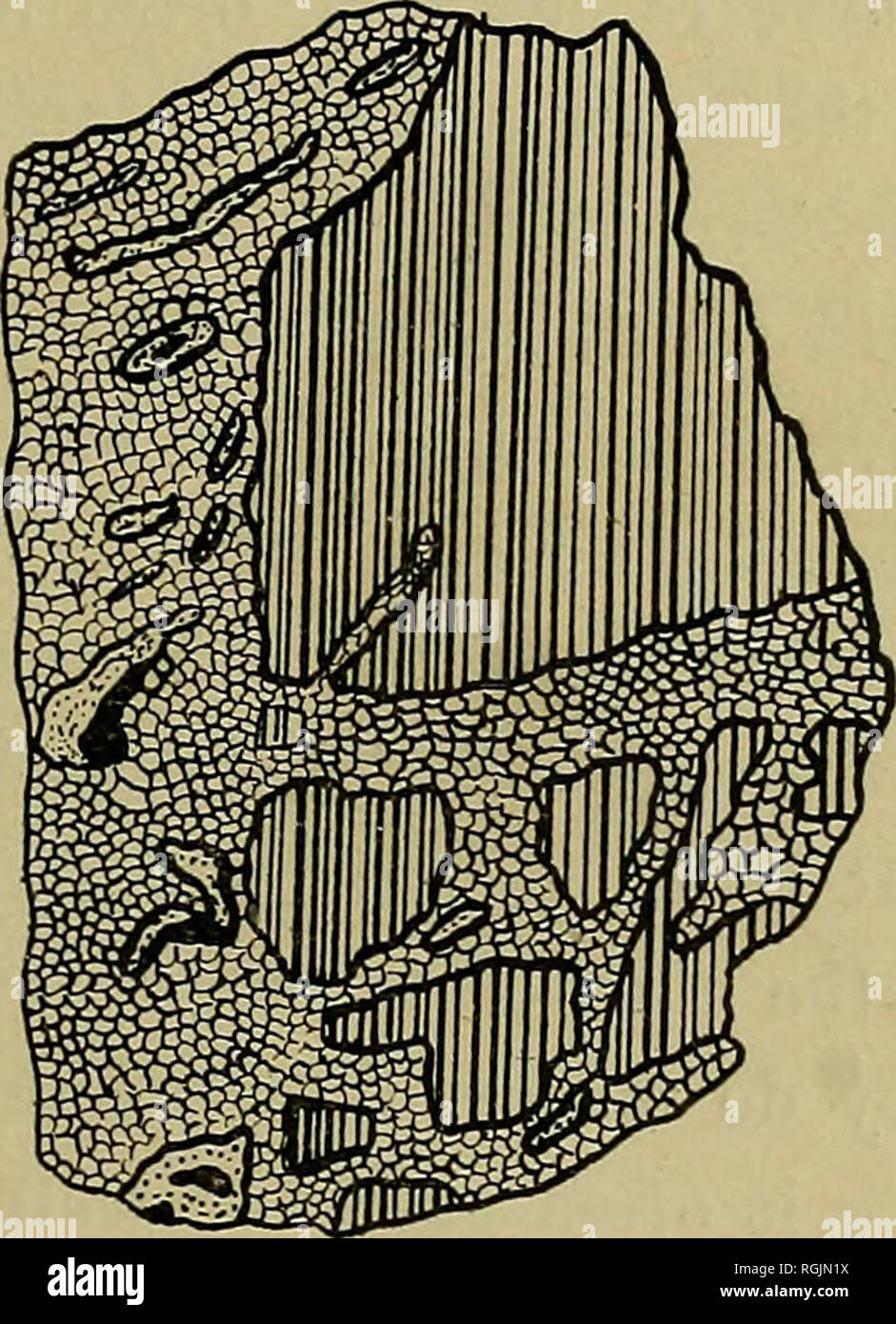 Porphyritic texture hi-res stock photography and images - Alamy