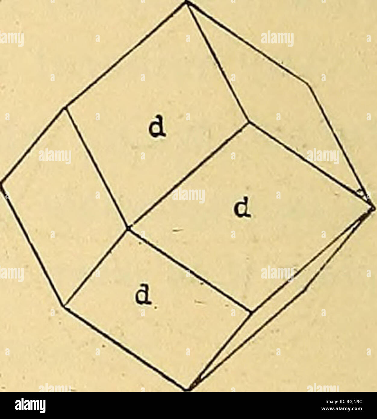. Bulletin - New York State Museum. Science. Fig. 29 sect, as shown in ...