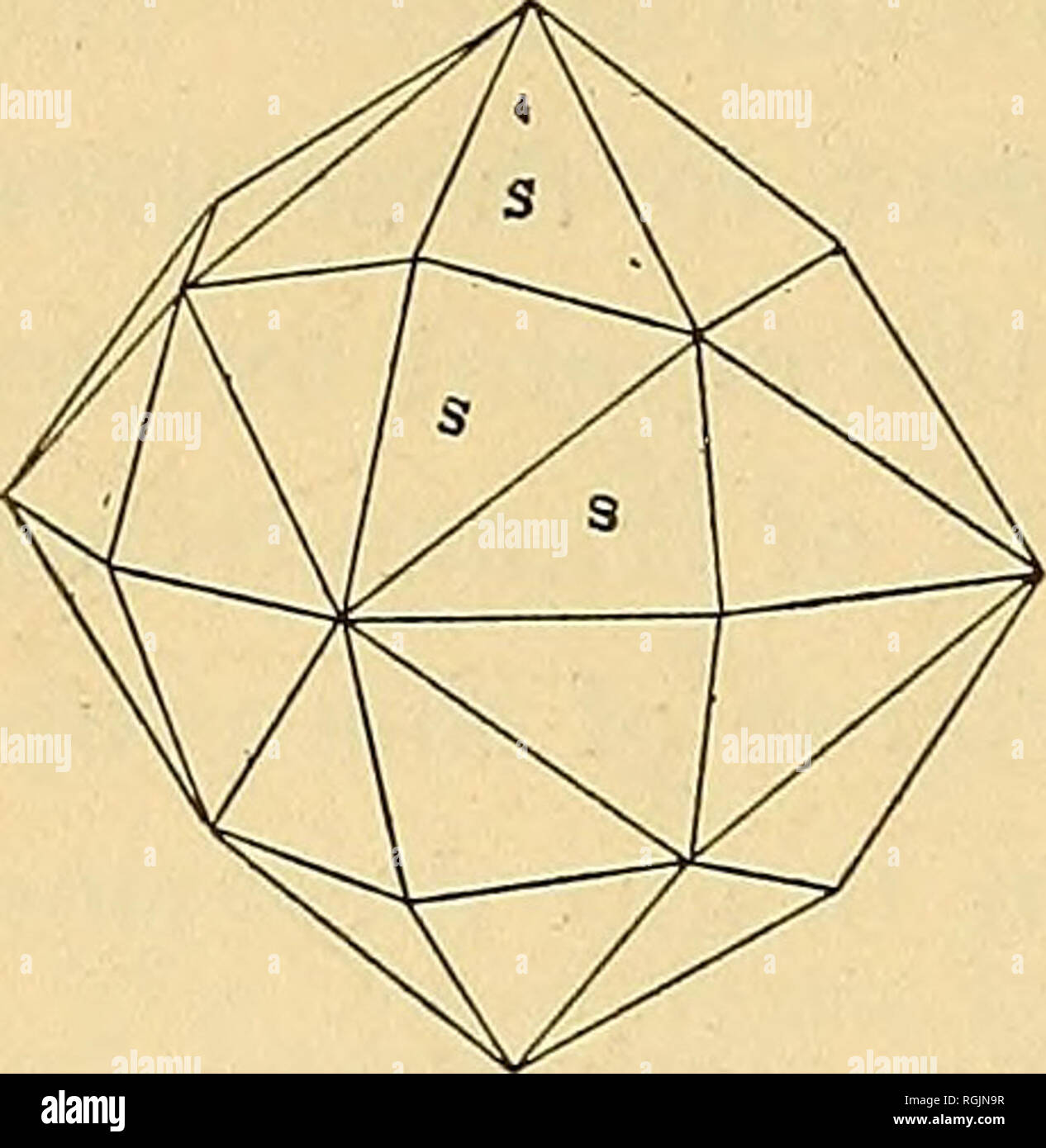 . Bulletin - New York State Museum. Science. 14 NEW YORK STATE MUSEUM ...