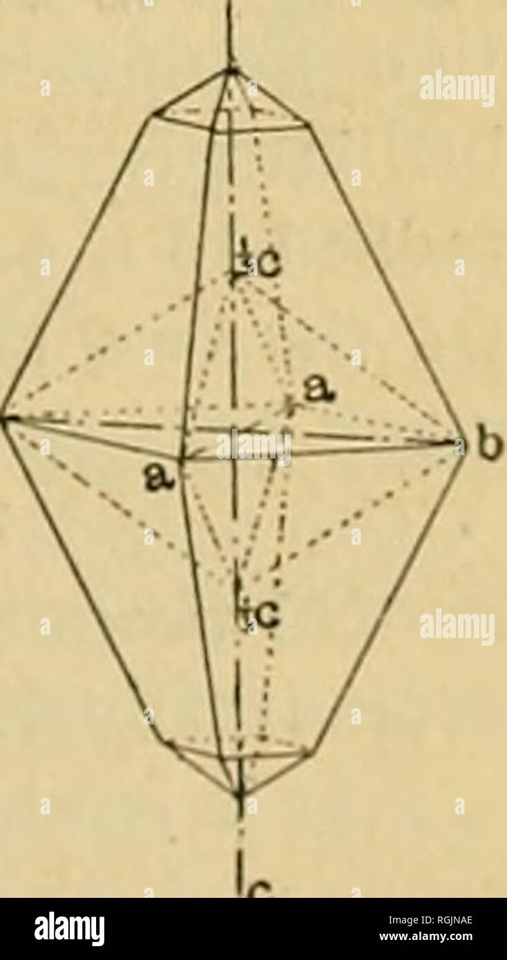 . Bulletin - New York State Museum. Science. Fig. 22 Fig. 23 Fig. 24 ...