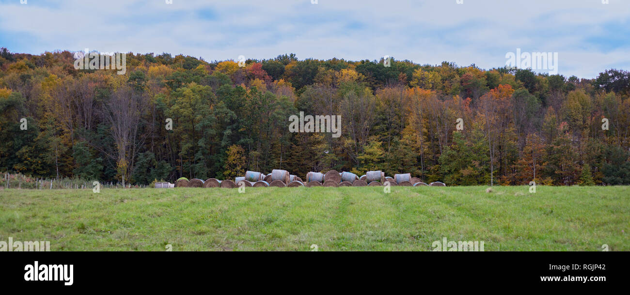 A beautiful fall landscape of an open field with hay bales in front of ...