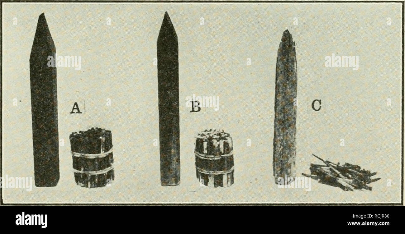 Callus formation hi-res stock photography and images - Alamy