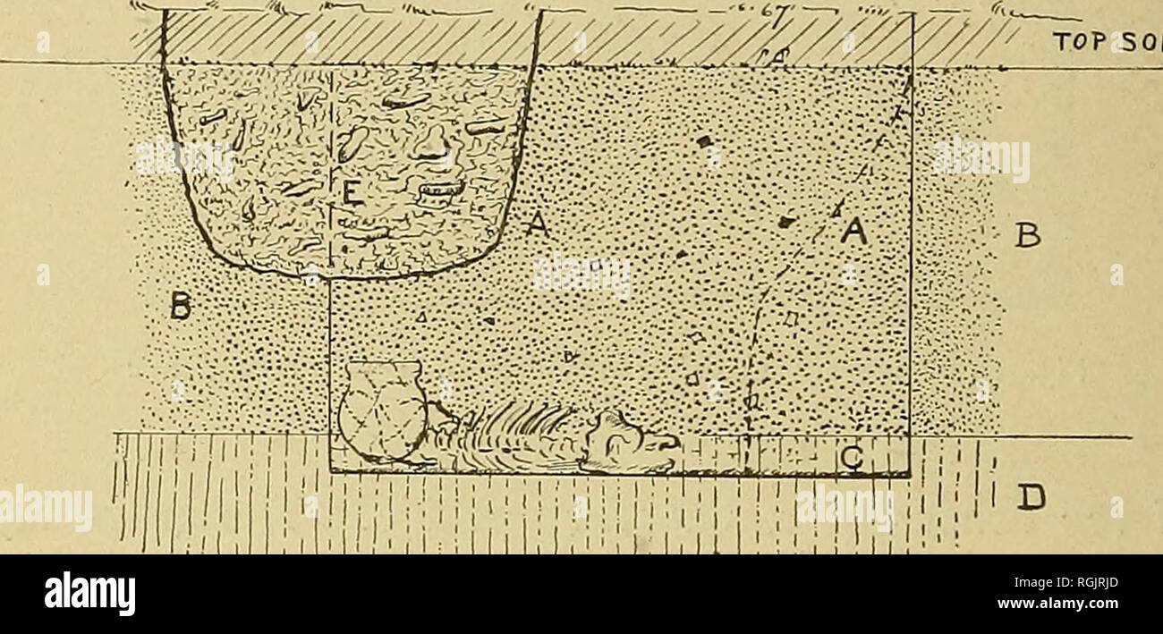 Carbonized bones hi-res stock photography and images - Alamy