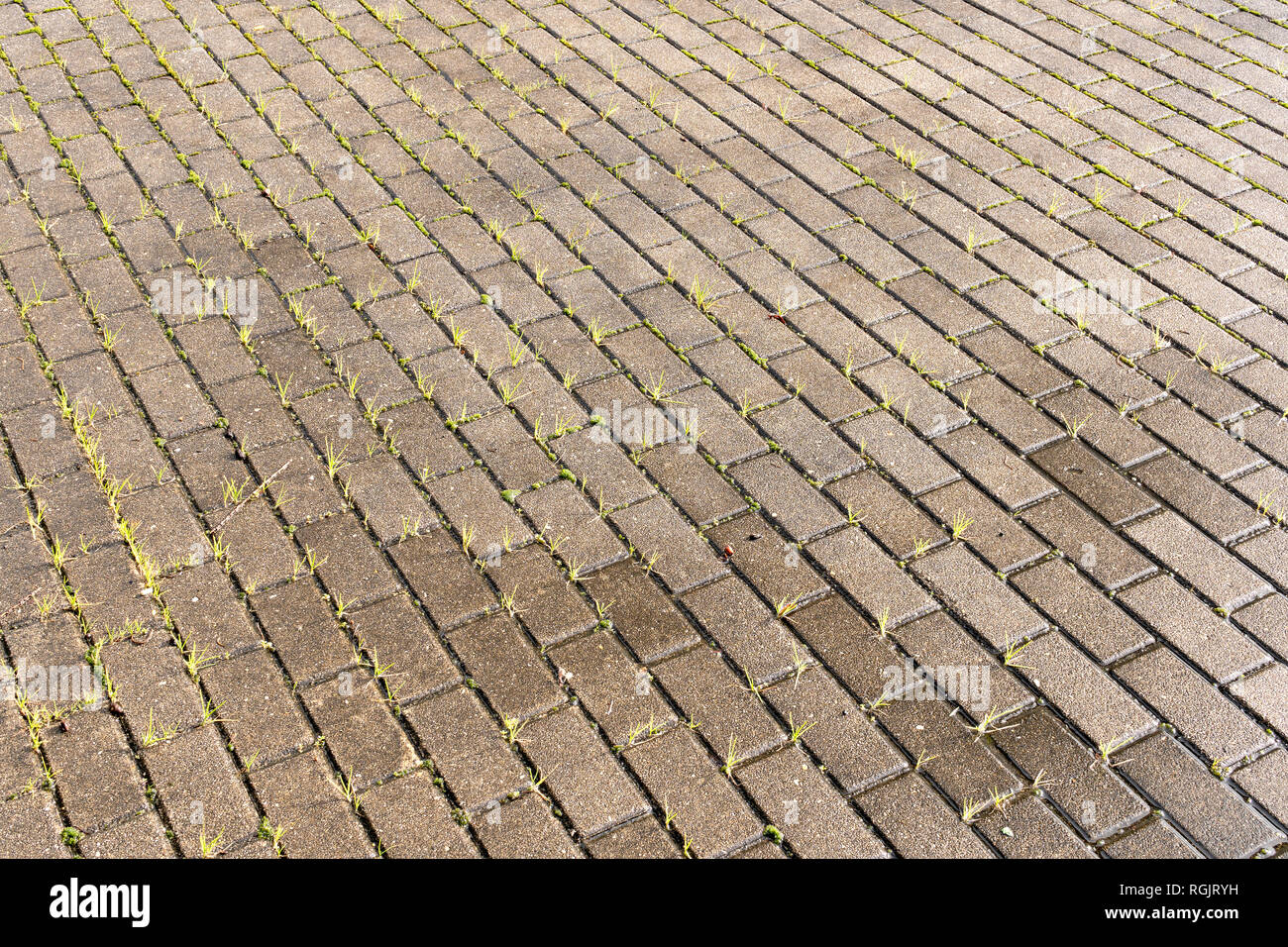 Wet Concrete pavement with green grass. Texture or background Stock ...