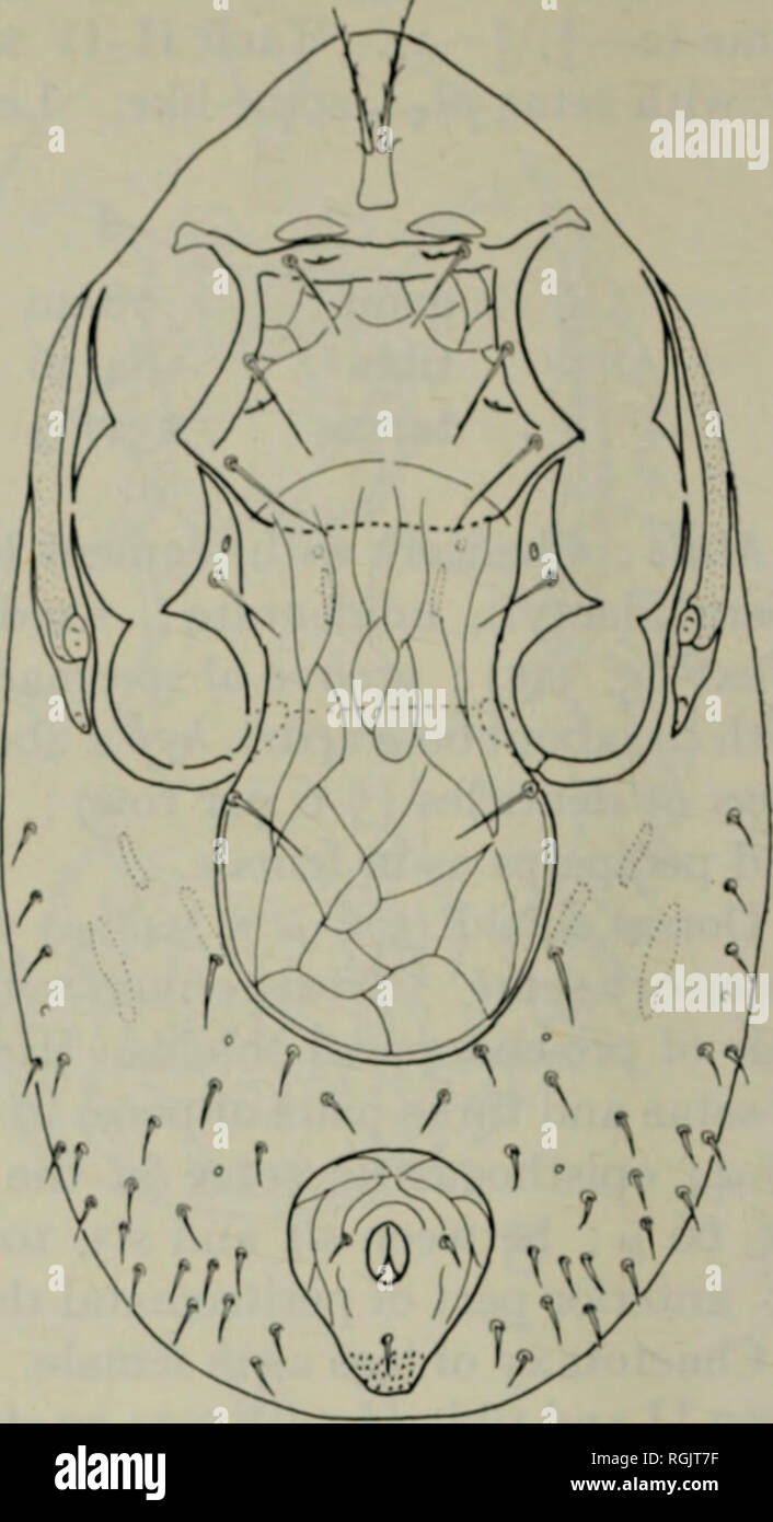 . Bulletin of the British Museum (Natural History) Zoology. . A B i â ...