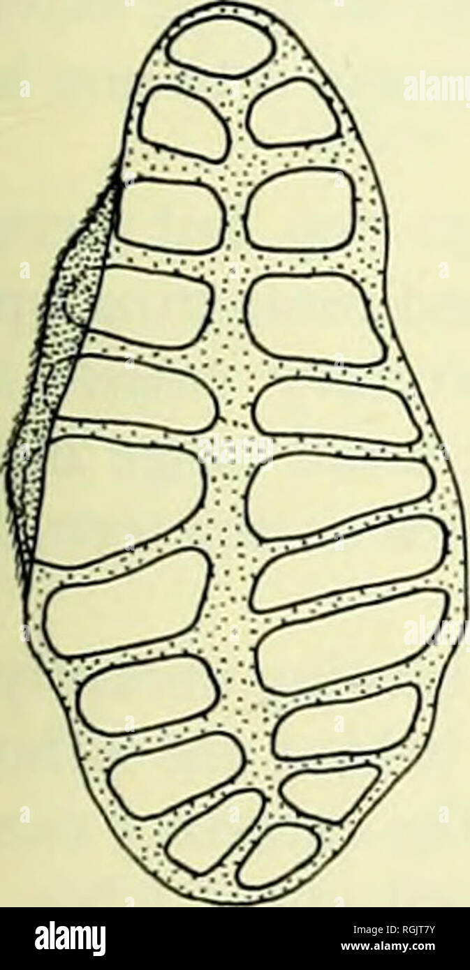 Relaxed musculature hi-res stock photography and images - Alamy