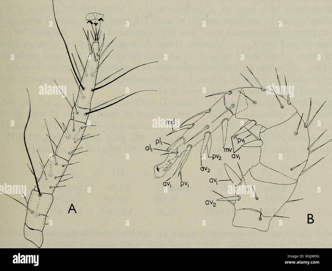 108 33 hi-res stock photography and images - Alamy